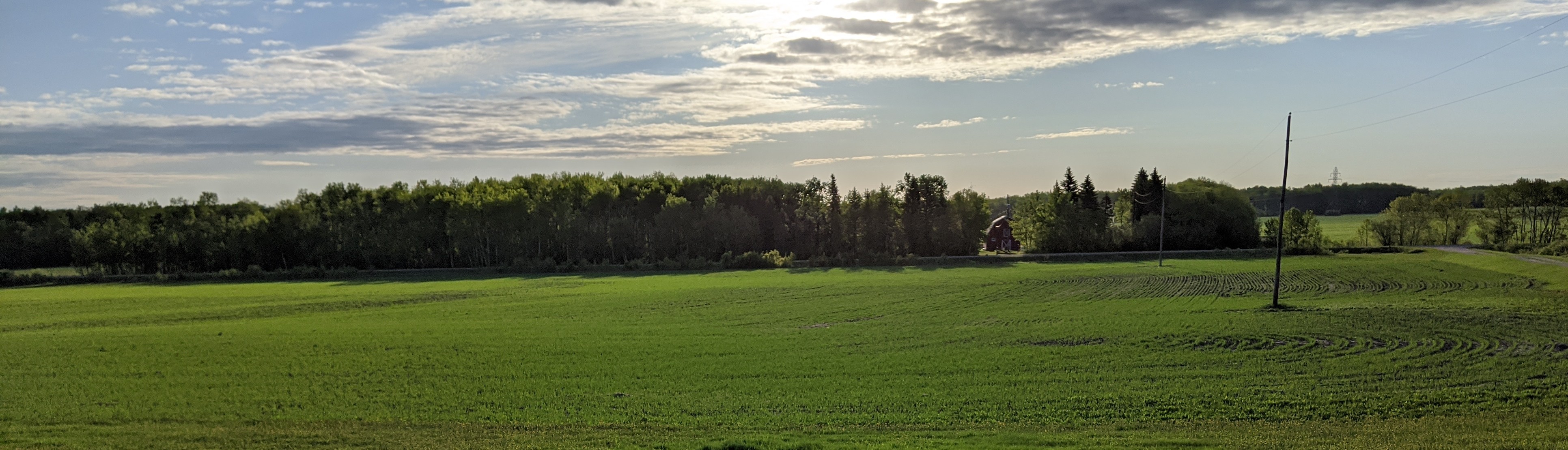 IMG_20200528_065622~2 – Boyle Park Media