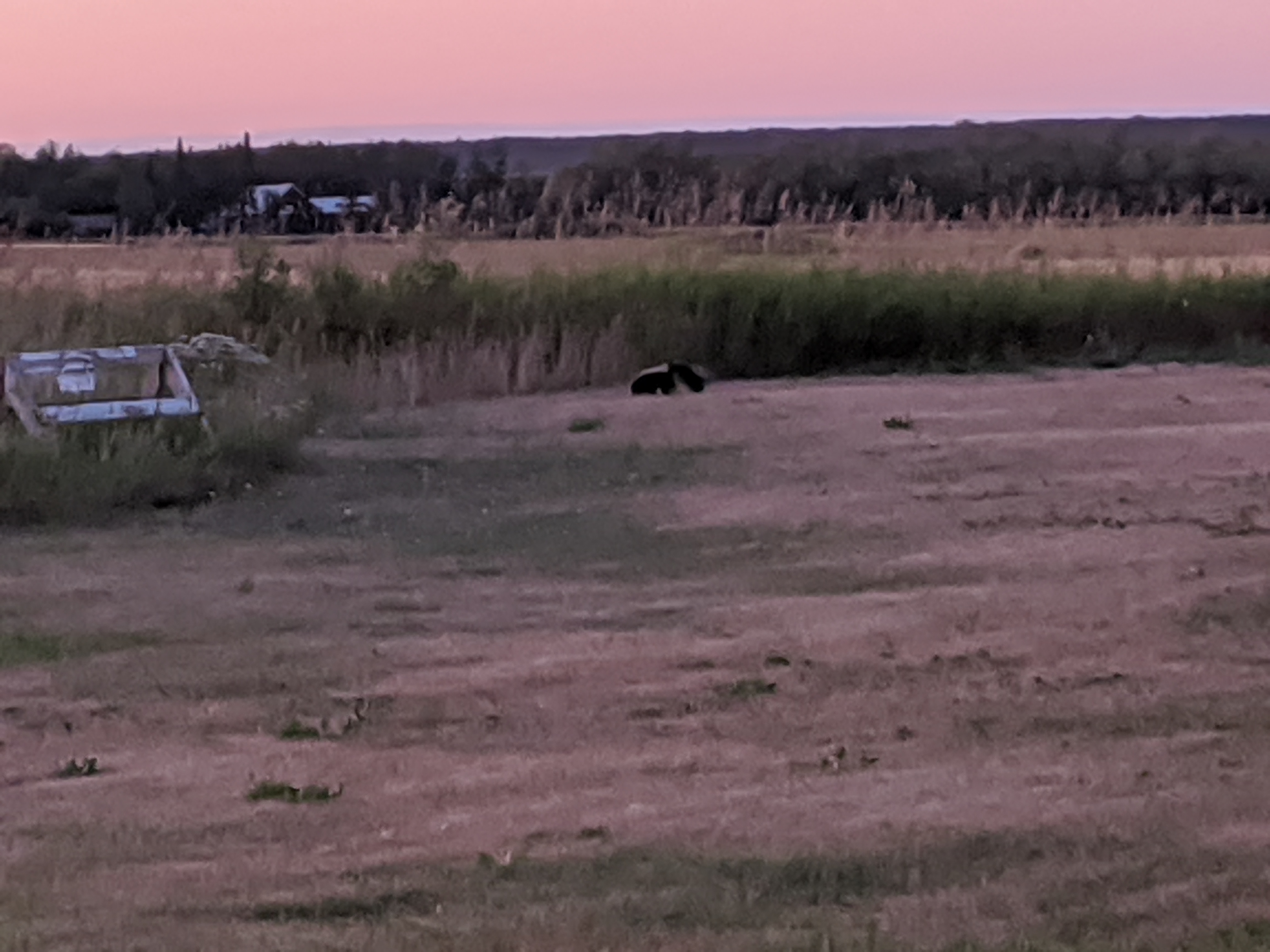 IMG_20200810_211212 – Boyle Park Media