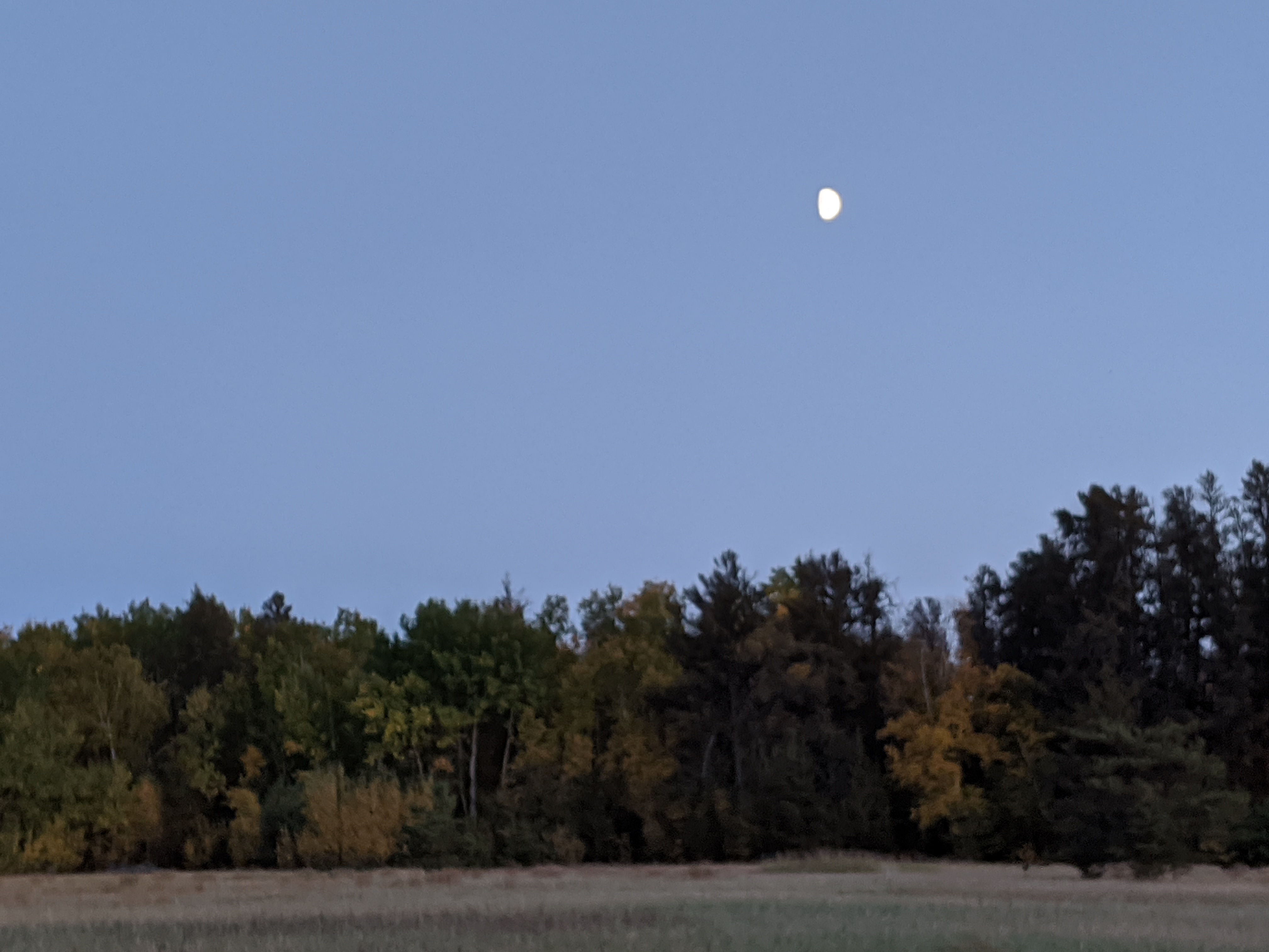 IMG_20200925_192426 – Boyle Park Media