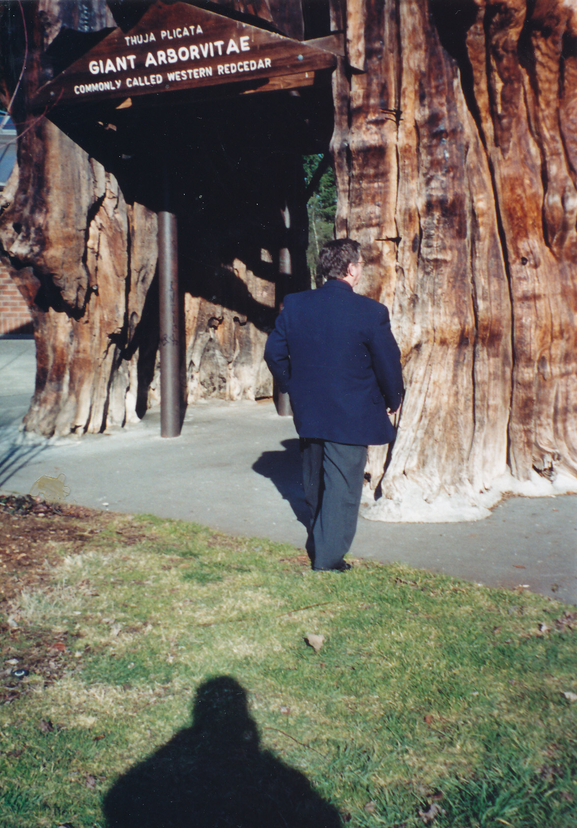 1999 – Boyle Park Media