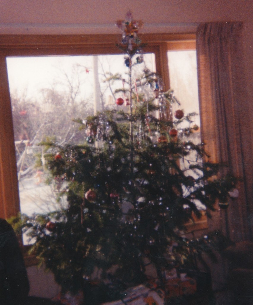 1981 – Boyle Park Media