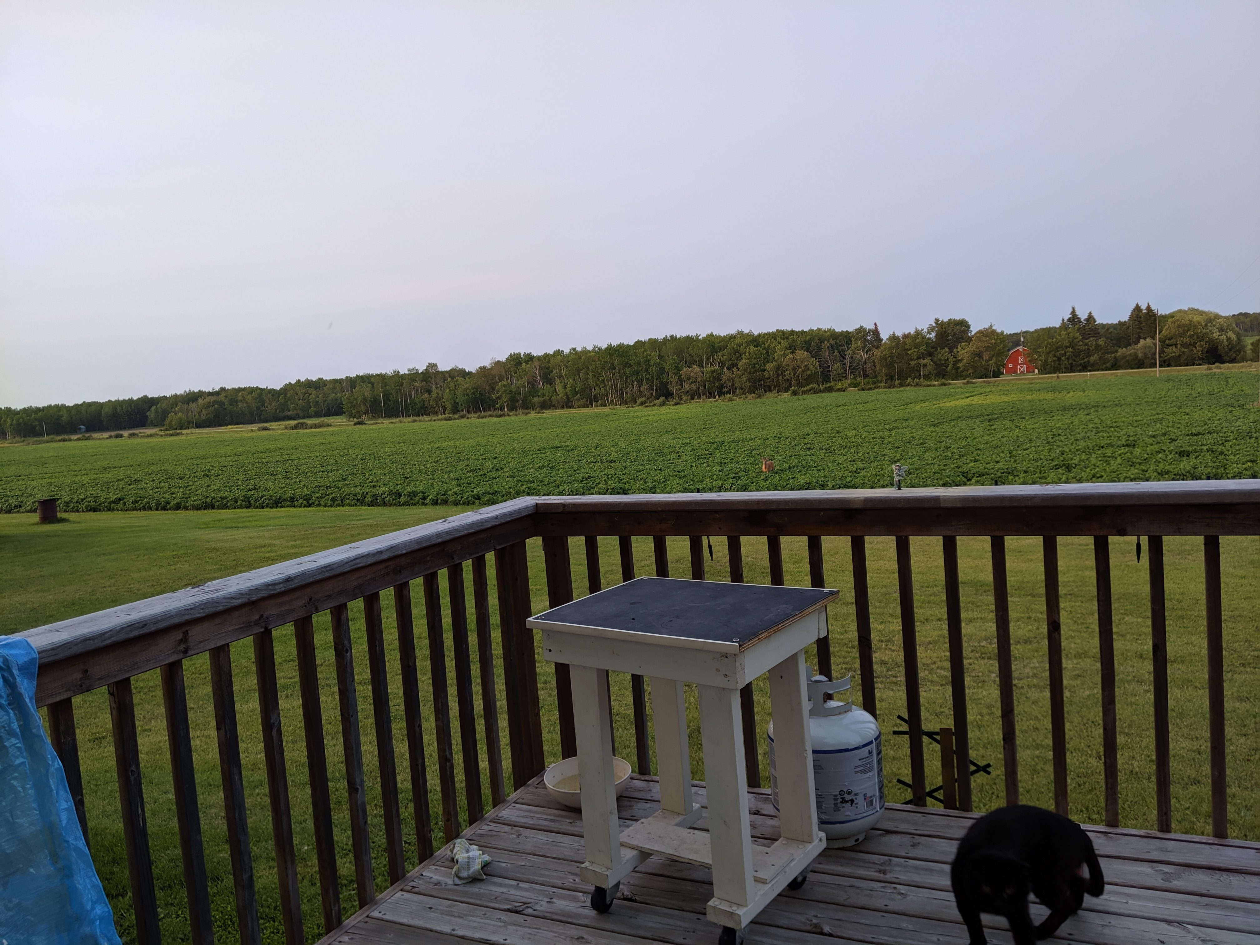 IMG_20190722_212905 – Boyle Park Media